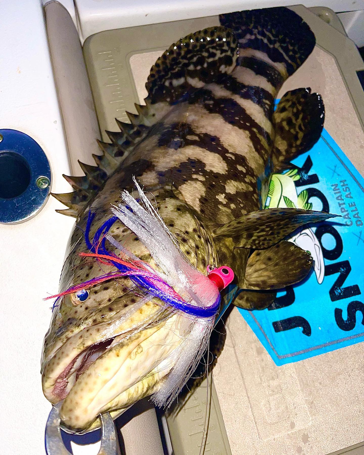 GROUPER FISHING JUPITER FLORIDA - Jupiter Snooker